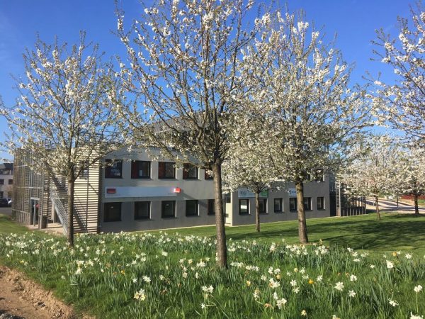 EDGO - École de Prothésiste Dentaire à Strasbourg - Bac Pro, BTS